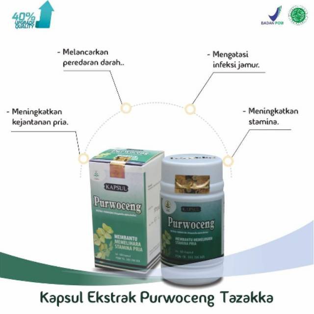 Jual obat herbal kapsul purwoceng original tazakka untuk stamina pria ...