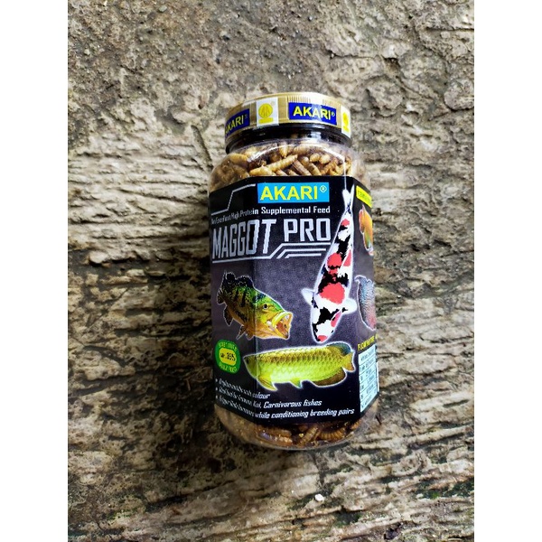 Jual Akari maggot makanan ikan predator arwana koi maggot kering ...