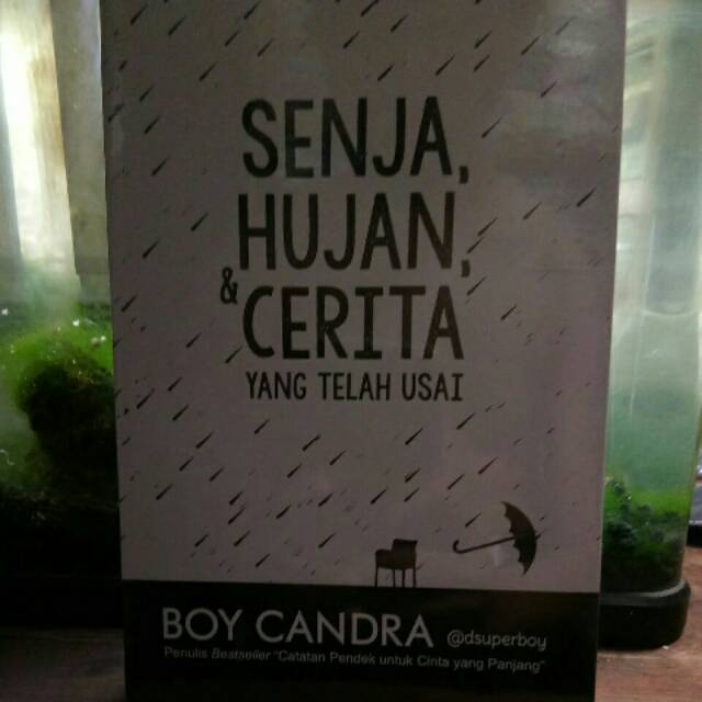 Jual Senja hujan&cerita yang telah usai | Shopee Indonesia