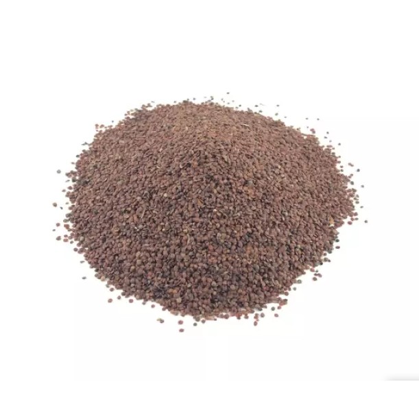 Jual Bisul Benjolan Jerawat Membandel Isi 10 Gram TelorKodok Original ...