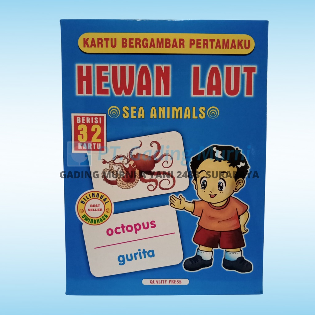 Jual MY FIRST FLASH CARDS HEWAN LAUT / KARTU BERGAMBAR BELAJAR ANAK ...