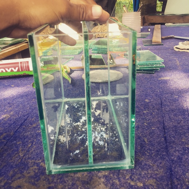 Jual Soliter cupang sekat 2 soliter Selfi sekat 2 soliter cupang ...