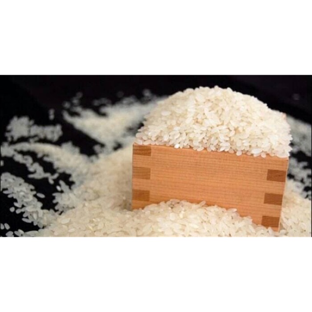 Jual Korean Rice Short Grain - Beras korea short grain curah per 1 kg ...