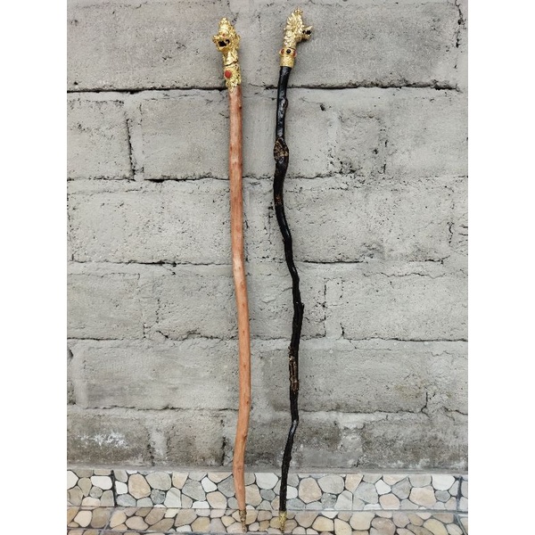 Jual tongkat jalan sentigi dan akar bahar tanpa sambungan | Shopee ...