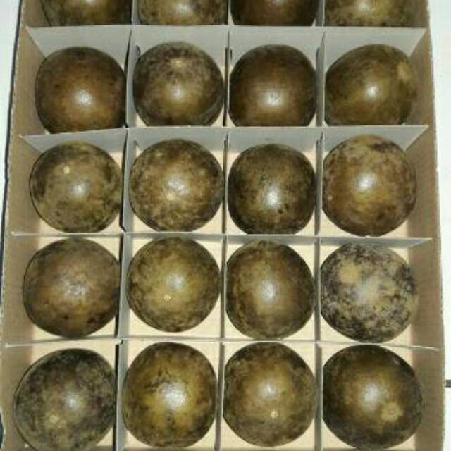 Jual BUAH LOU HAN KO, LOHANKUO, LOUHANKO SEDANG | Shopee Indonesia