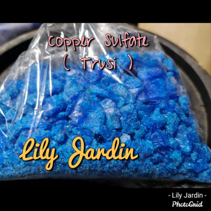Jual Trusi / Copper Sulphate / Tembaga Sulfat / Penjernih Air Biru ...
