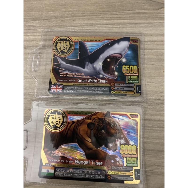 Jual Animal Kaiser Bengal Tiger & Great White Shark Promo Card | Shopee ...