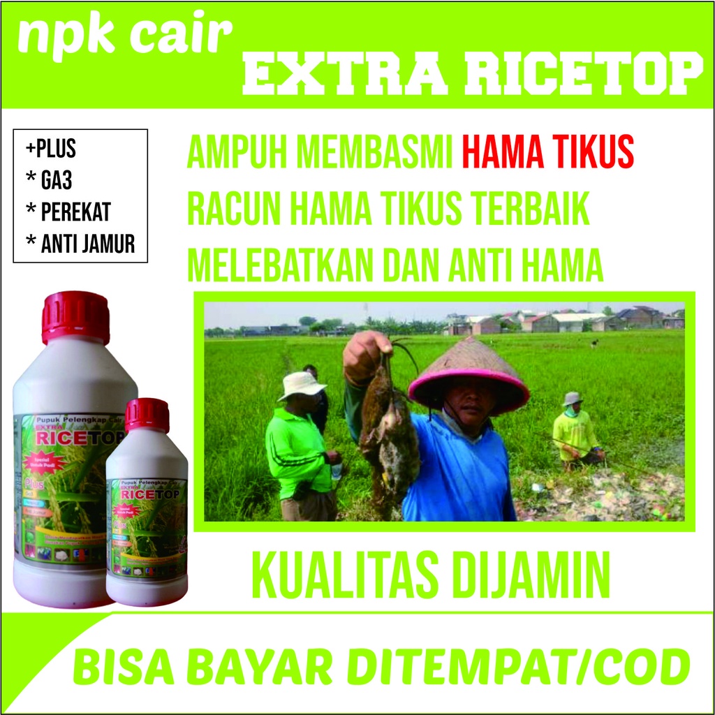 Jual Obat Semprot Pelebat Padi - Pupuk Penyubur Padi - Racun Hama Tikus - Pupuk NPK Cair RICE ...