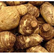 Jual Ubi Talas Mbote Umbi Talas Mbote | Shopee Indonesia