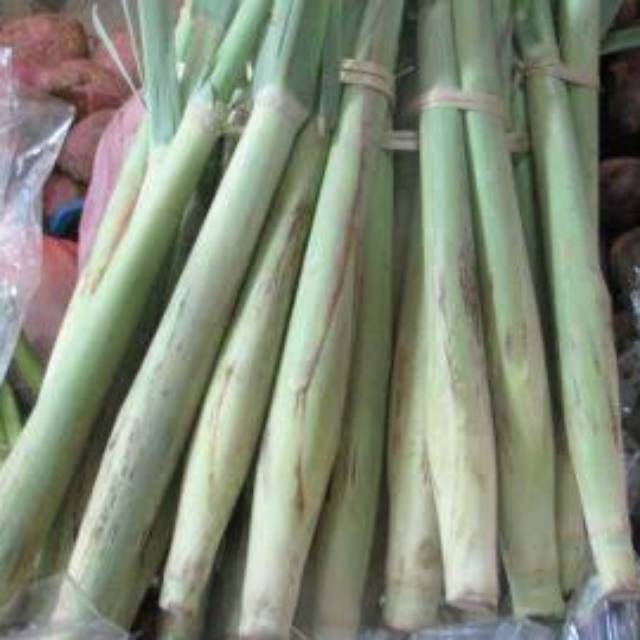 Jual Terubuk/ Turubuk/ Telor Tebu/ 10 batang | Shopee Indonesia