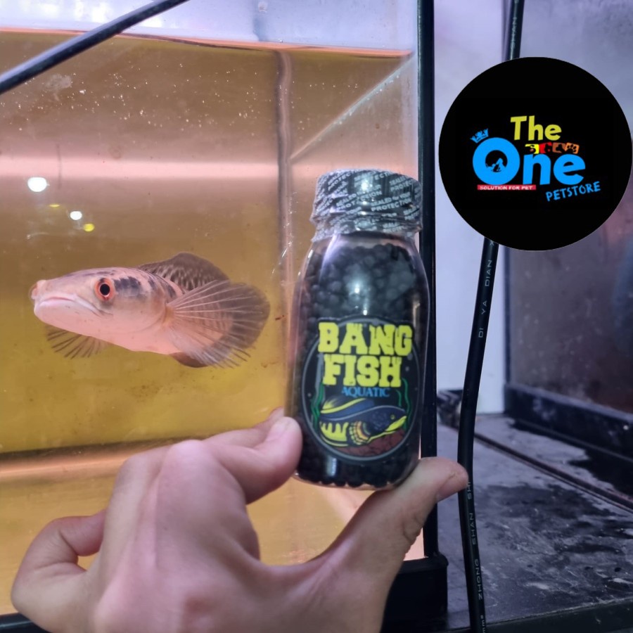 Jual PELET BAR BAR SUPER KILLER by BangFish X FajarArief pelet chana ...