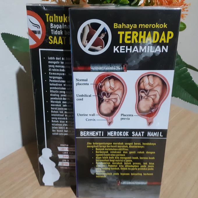 Jual Brosur / Flyer Bahaya Rokok untuk Kehamilan TERJAMIN | Shopee ...