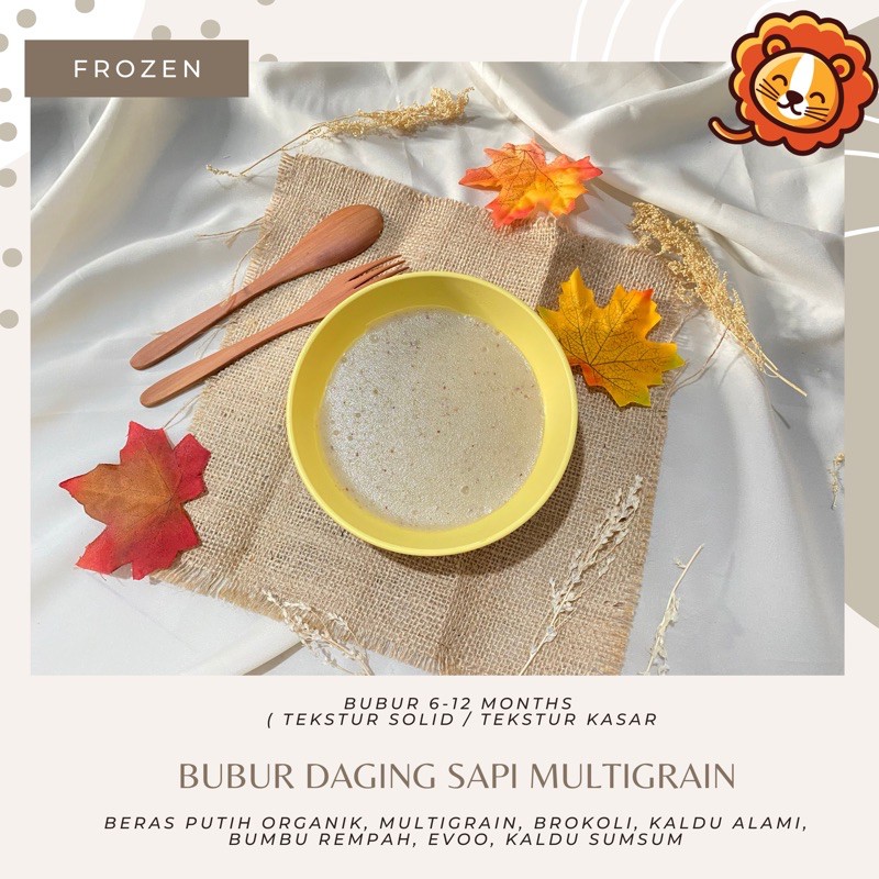 Jual BUBUR MPASI LENGKAP (CATERING MPASI FROZEN BEKU) / DAIRY FREE ...