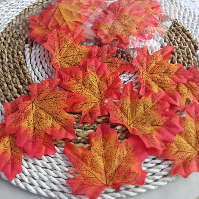 Jual (10pcs) DAUN MAPLE | Shopee Indonesia