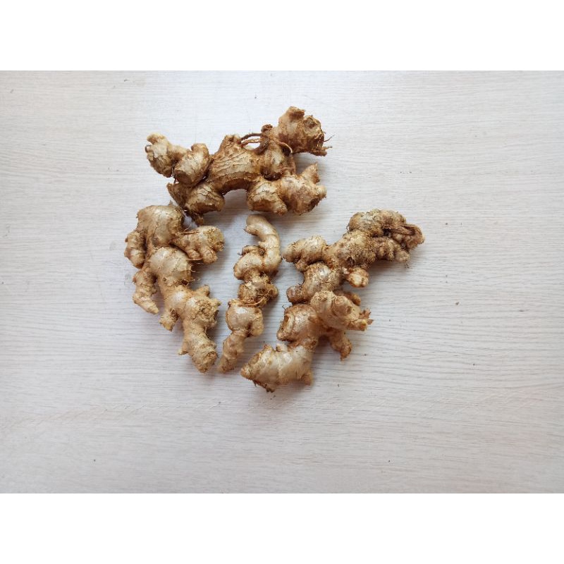 Jual Jahe emprit asli segar 1kg sudah cuci bersih | Shopee Indonesia Jual Jahe emprit asli segar 1kg sudah cuci bersih | Shopee Indonesia