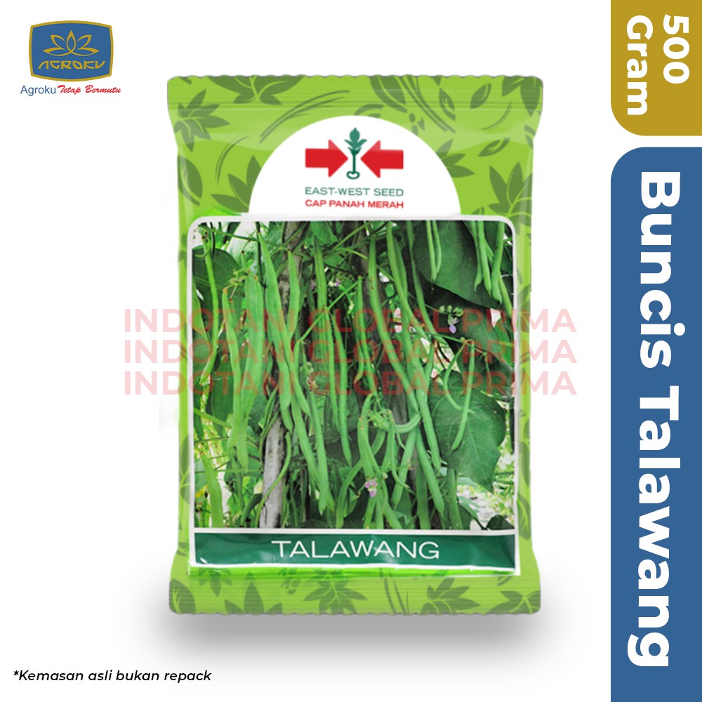 Jual Benih Buncis TALAWANG 500 gram - Cap Panah Merah | Shopee Indonesia