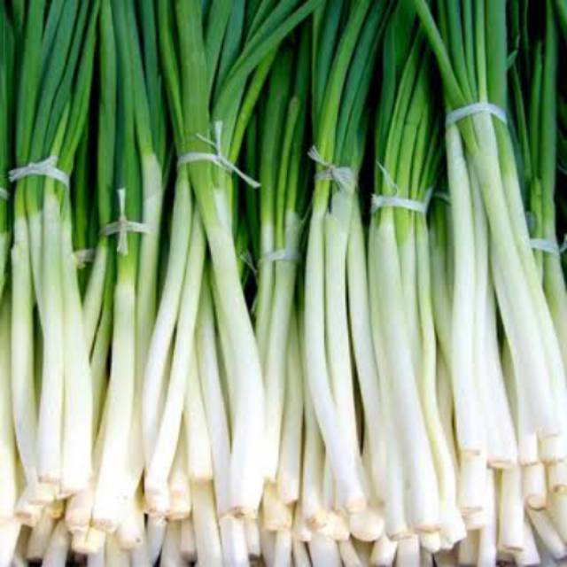 Jual daun bawang bersih 1kg | Shopee Indonesia