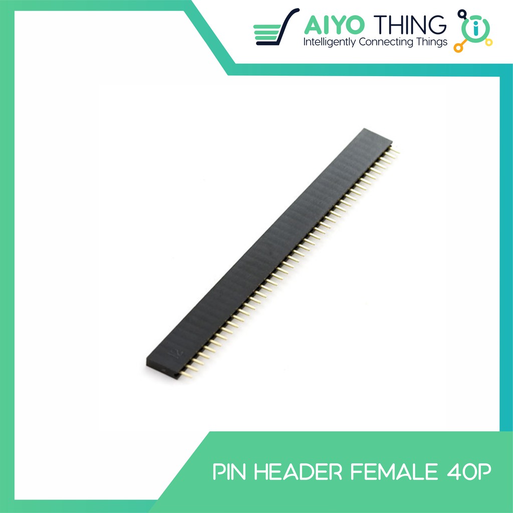 Jual Female Pin Header 40 Pin 2.54mm Konektor Arduino | Shopee Indonesia