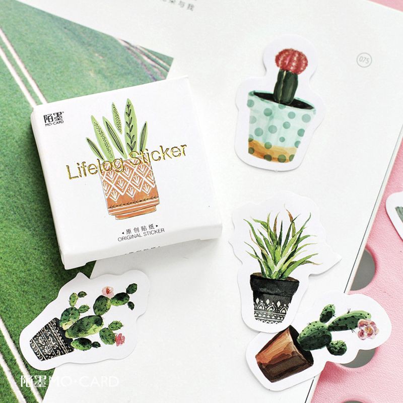 Jual STIKER BOX TANAMAN | Shopee Indonesia