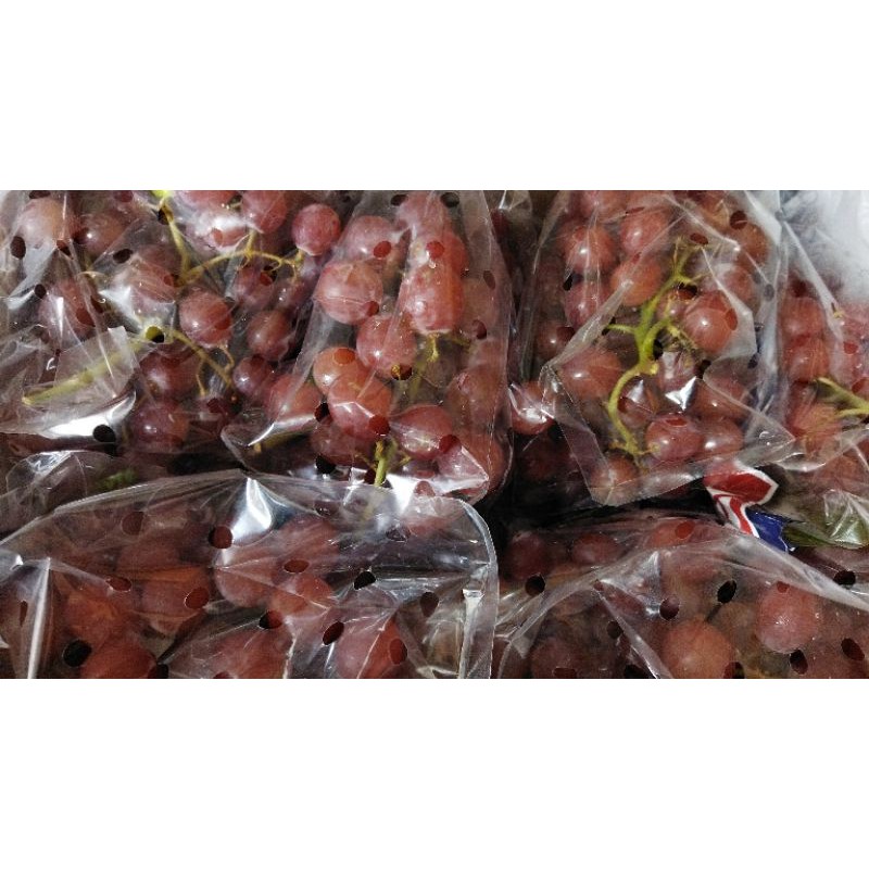 Jual Buah Anggur Merah Afrika Seedless 1kg | Shopee Indonesia