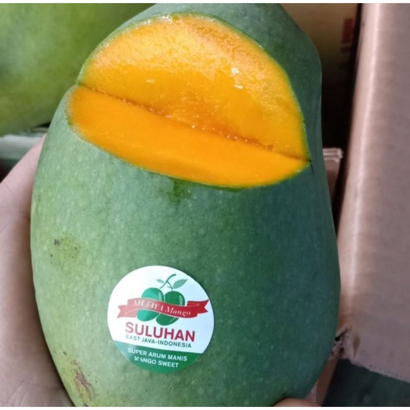 Jual Mangga Alpukat Harum Manis Suluhan (5 Kg ) | Shopee Indonesia