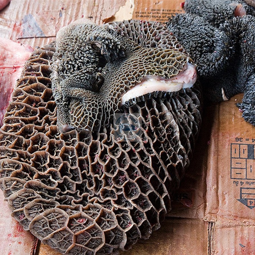 Jual Babat Sapi / Babat Hitam ( Beef Black Triple Calf Offal ) | Shopee ...