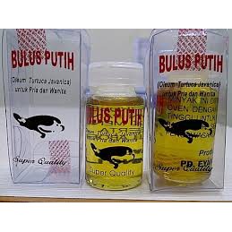 Jual MINYAK BULUS PUTIH PD EYANG LAUT KEMASAN MIKA PAPUA | Shopee Indonesia