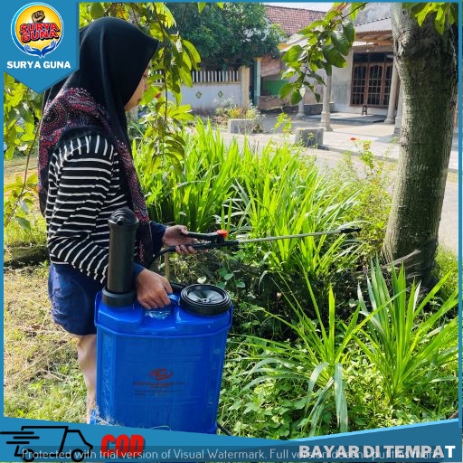Jual sprayer pertanian elektrik 2in1 alat penyemprot hama | Shopee ...