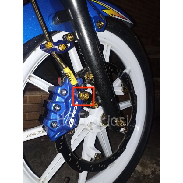 Jual Baut Caliper kaliper pala babi Drat Kasar/Halus Probolt Original stainless Thailand ...