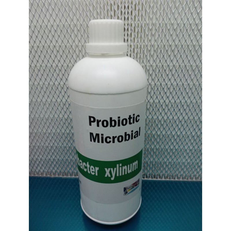 Jual Acetobacter xylinum / bibit nata de coco | Shopee Indonesia