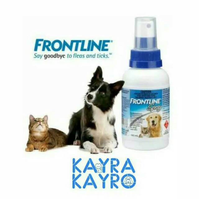 Jual Frontline Flea & Tick Spray for Dog Cat 100 mL - Obat Semprot Anti ...