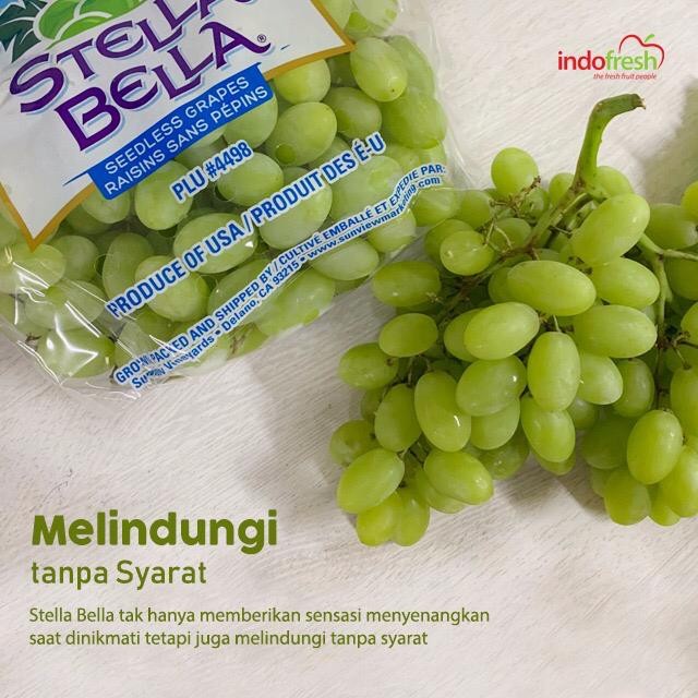 Jual Anggur Stella Bella California | Shopee Indonesia