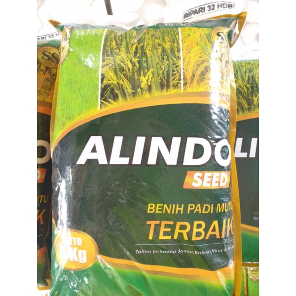 Jual benih padi alindo seed inpari 32 hdb isi 5 kg | Shopee Indonesia