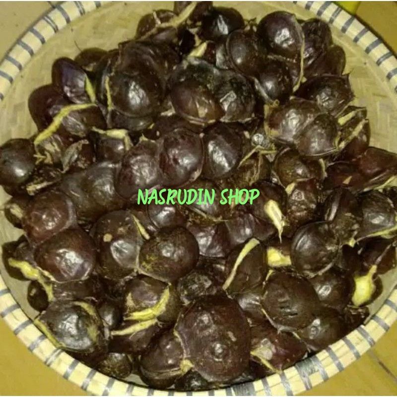 Jual JENGKOL MUDA 1KG / JENGKOL TUA 1KG / BUAH JENGKOL KULIT MUDA DAN ...