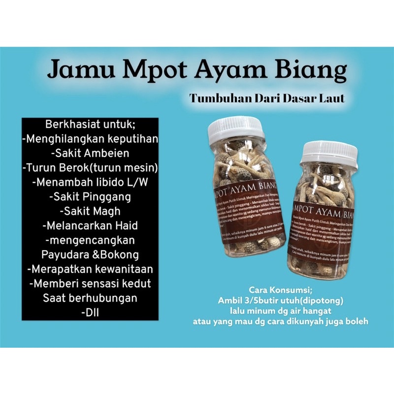 Jual MPOT PUTIH AYAM BIANG | Shopee Indonesia