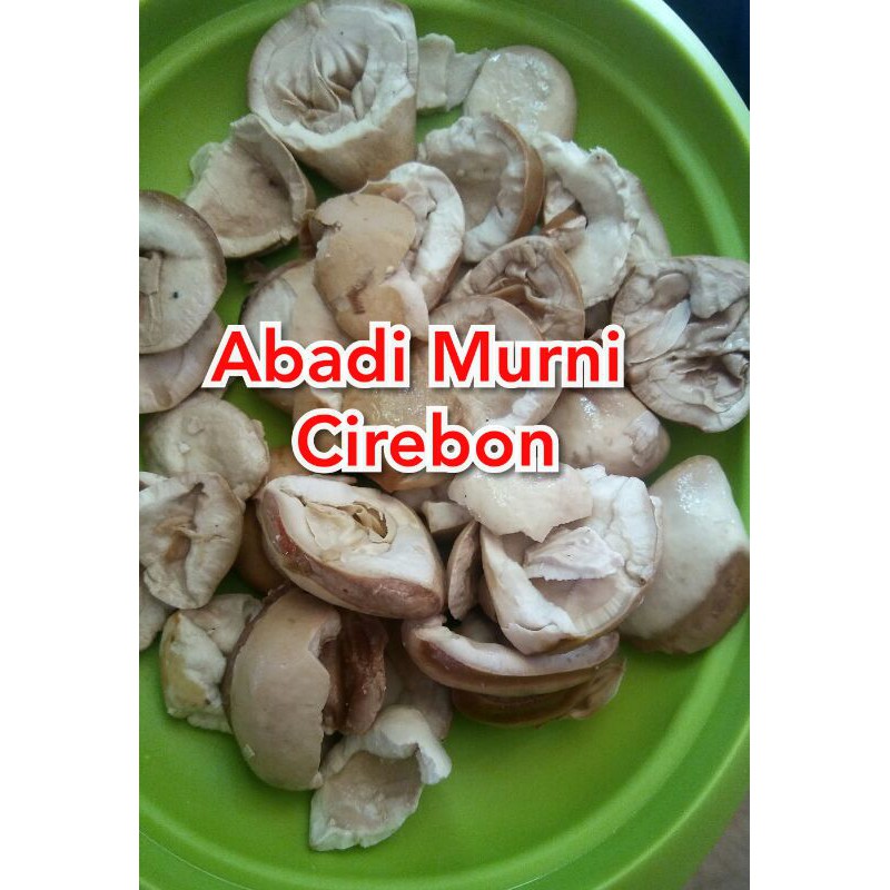 Jual PUCUNG/PICUNG MUDA | Shopee Indonesia