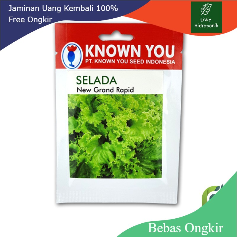 Jual Bibit Benih Hidroponik Selada Hijau Known You New Grand Rapid isi 5 Gram | Shopee Indonesia