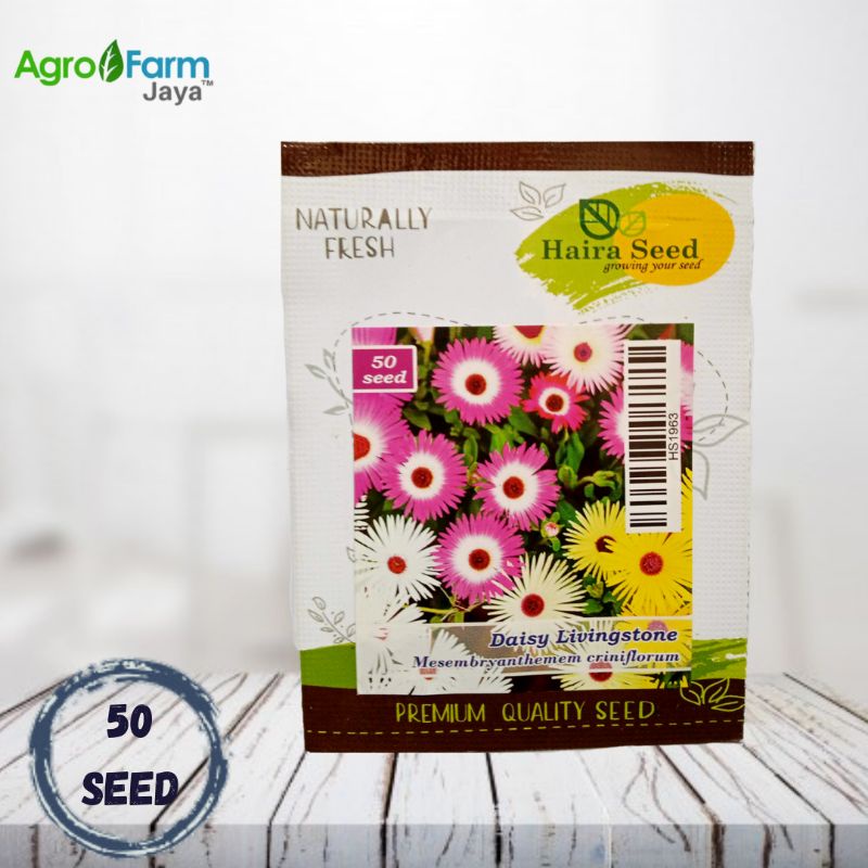 Jual Benih Bunga Daisy Livingstone Ice Plant Mix (Haira Seed) | Shopee ...