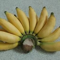 Jual Pisang Muli per 1 Kg | Shopee Indonesia