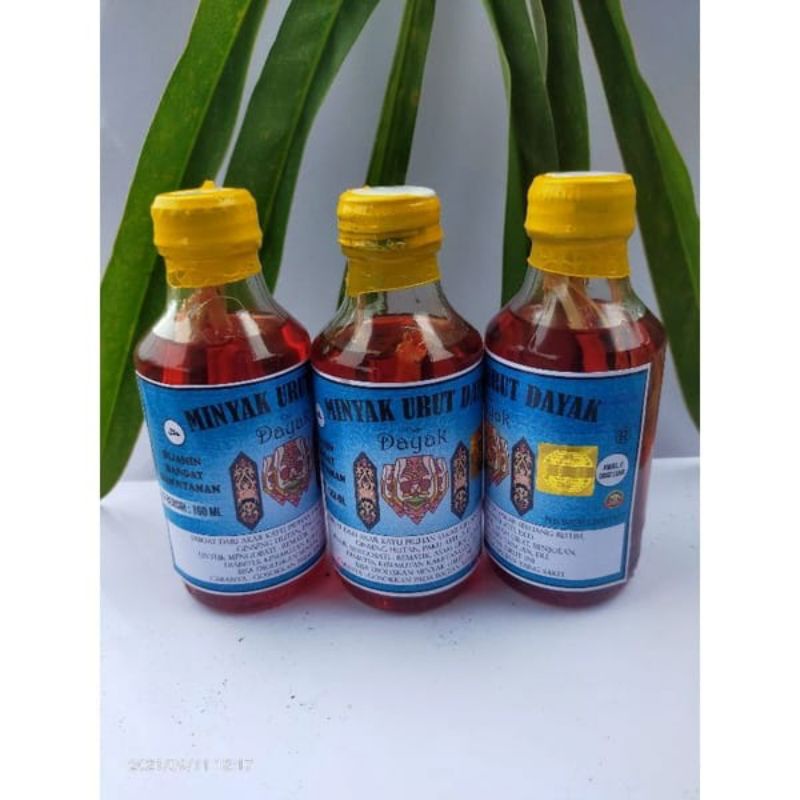 Jual Minyak Urut Dayak Obat Patah Tulang Rematik Asam Urat Salah Urat ...