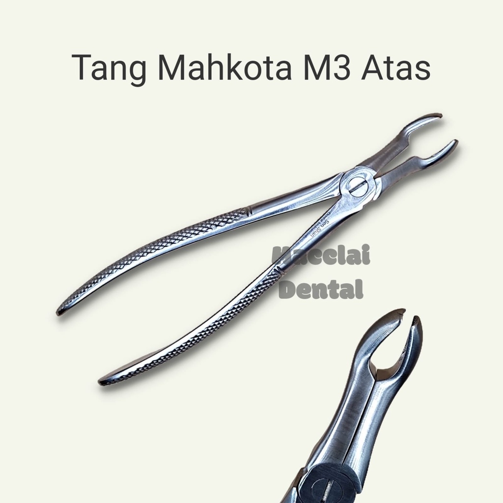 Jual DENTAL TANG CABUT GIGI DEWASA ECER / PER PCS TOOTH FORCEP SATUAN ...