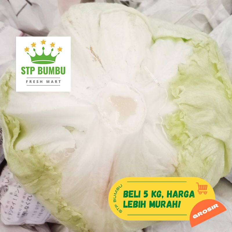 Jual Letuce Head Segar Fresh 1kg / Lettuce / Sayur Letus | Shopee Indonesia