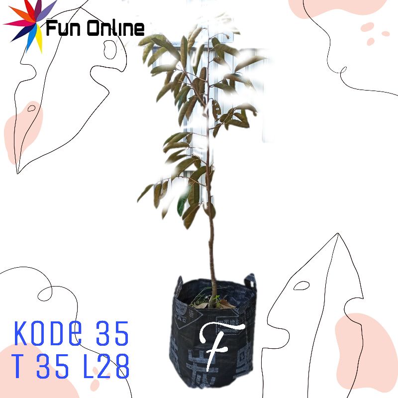 Jual Planter Bag 35 Liter Pot tanaman pot besar bibit durian | Shopee ...