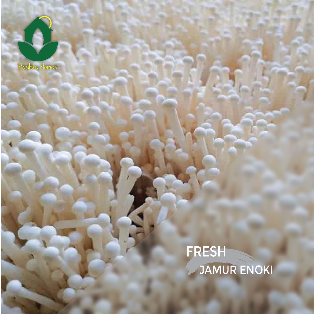 Jual Jamur Enoki Per Pack Jabodetabek | Shopee Indonesia
