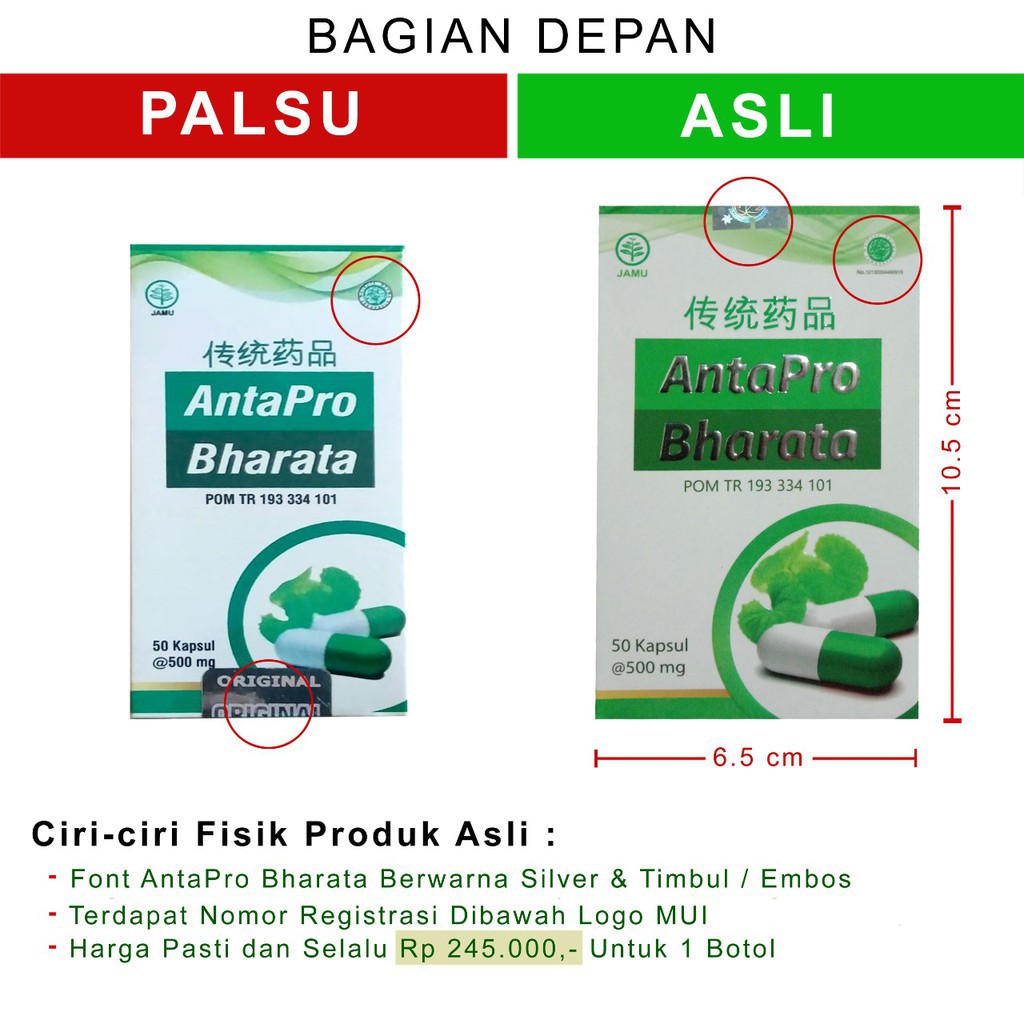 Jual Obat Herbal Stroke Obat Stroke Ringan Obat Struk Ampuh | Antapro ...