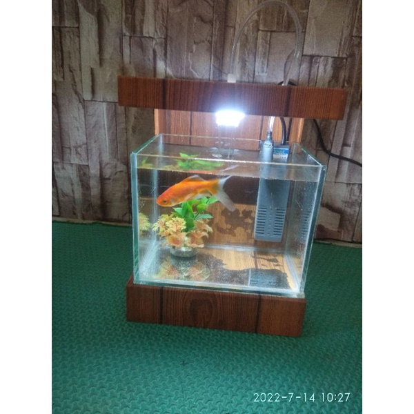 Jual display kabinet akuarium aquascape ikan hias ikan cupang mewah ...