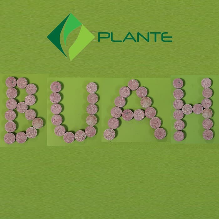 Jual PUPUK TANAMAN BUNGA & BUAH NPK TABLET FUNGSI HARA LENGKAP - ppk034 ...