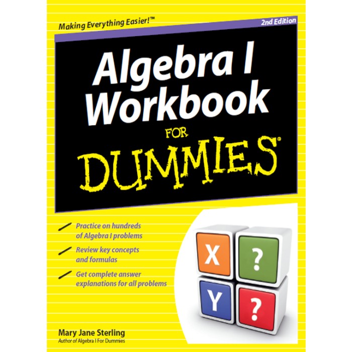 Jual Buku - Algebra I Workbook For Dummies®, 2nd Edition | Shopee Indonesia