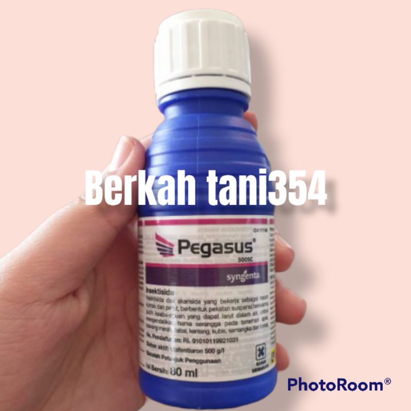 Jual INSEKTISIDA PEGASUS 500 SC - 80 ML insektisida racun kutu daun ...