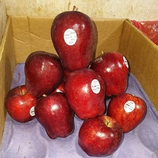 Produk LITA BUAH | Shopee Indonesia